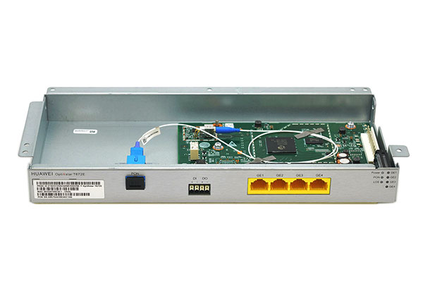 小熊新货-青州小熊